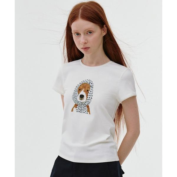 『タイムセール実施中』ZOZO問い合わせ番号:93082053ショップ:chuclla，チュクラブランド:Fano Studios，ファノ ストゥディオズ商品名:ドッグプリントTシャツ FC25S086【Fano Studios】カテゴリ:...