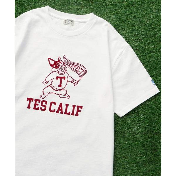 ZOZO問い合わせ番号:93349217ショップ:NAVAL，ナバルブランド:The Endless Summer，エンドレスサマー商品名:TES COLLEGE FLOCKY T-SHIRT / Tシャツカテゴリ:トップス>Tシャツ...