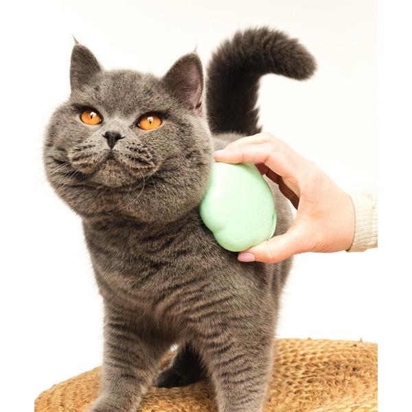 ※このアイテムは返品・交換対象外商品です。ZOZO問い合わせ番号:93696534ショップ:TANGLE TEEZER，タングルティーザーブランド:TANGLE TEEZER，タングルティーザー商品名:タングルティーザー　ペットティーザー　...