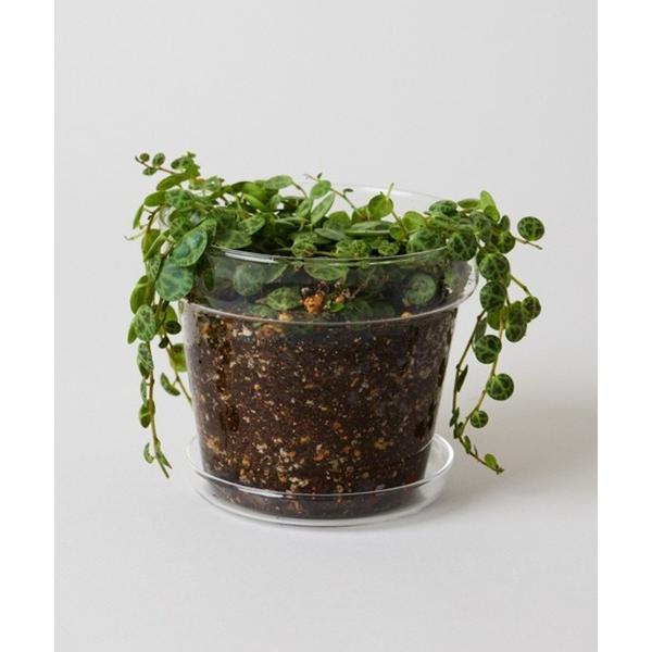 ZOZO問い合わせ番号:93728164ショップ:TODAY'S SPECIAL，トゥデイズスペシャルブランド:TODAY'S SPECIAL，トゥデイズスペシャル商品名:ブローグラスポット11 クリア/358069カテゴリ:インテリア&g...