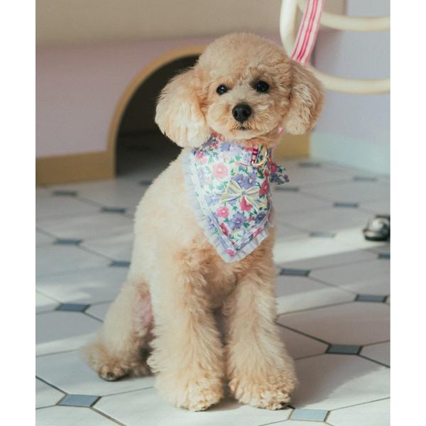 ※このアイテムは返品・交換対象外商品です。ZOZO問い合わせ番号:93794055ショップ:fafa，フェフェブランド:fafa，フェフェ商品名:VIOLET LOU | ドッグカラーカテゴリ:ペットグッズ>ペットウェアブランド品番:...