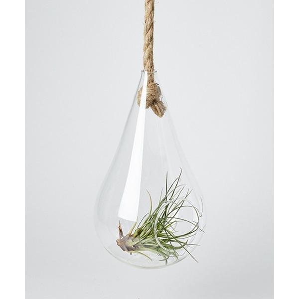 ZOZO問い合わせ番号:93898544ショップ:TODAY'S SPECIAL，トゥデイズスペシャルブランド:TODAY'S SPECIAL，トゥデイズスペシャル商品名:ラージハンギングベース 28/358079カテゴリ:インテリア&gt...