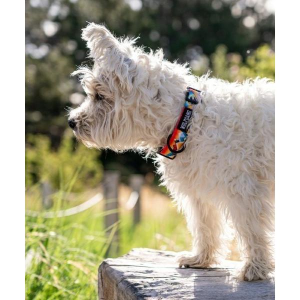 ※このアイテムは返品・交換対象外商品です。ZOZO問い合わせ番号:94062026ショップ:ムラサキスポーツ，ムラサキスポーツブランド:WOLFGANG MAN＆BEAST，ウルフギャングマンアンドビースト，ムラサキスポーツ，ムラサキスポー...