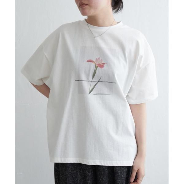 『タイムセール実施中』ZOZO問い合わせ番号:94366818ショップ:VENCE share style，ヴァンス シェアスタイルブランド:VENCEEXCHANGE，ヴァンスエクスチェンジ商品名:綿天竺フラワープリントTシャツカテゴリ:...