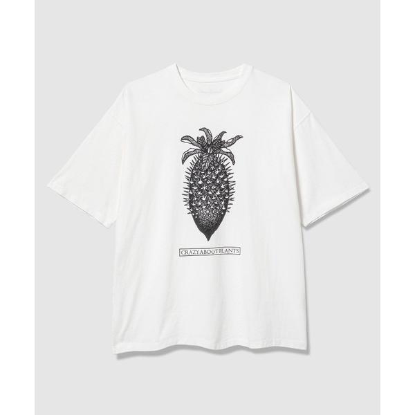 『セール実施中』ZOZO問い合わせ番号:94431177ショップ:BAYFLOW，ベイフローブランド:AMERICAN RAG CIE，アメリカンラグシー，BAYFLOW，ベイフロー商品名:【AMERICAN RAG CIE×BANANA ...