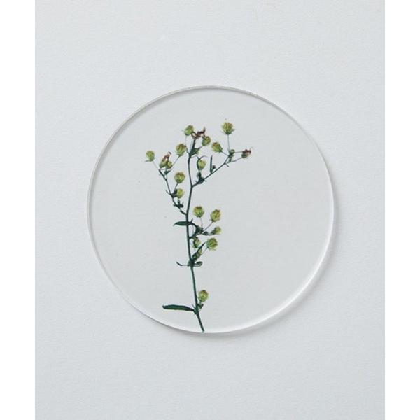 ZOZO問い合わせ番号:94595615ショップ:TODAY'S SPECIAL，トゥデイズスペシャルブランド:TODAY'S SPECIAL，トゥデイズスペシャル商品名:押し花 コースター / toumeiカテゴリ:食器/キッチン>...