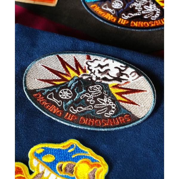 ZOZO問い合わせ番号:94953253ショップ:DULTON，ダルトンブランド:DULTON，ダルトン商品名:DINOSAUR WAPPEN/ダイナソー ワッペンカテゴリ:雑貨/ホビー>その他雑貨ブランド品番:NBJ-0947A/N...