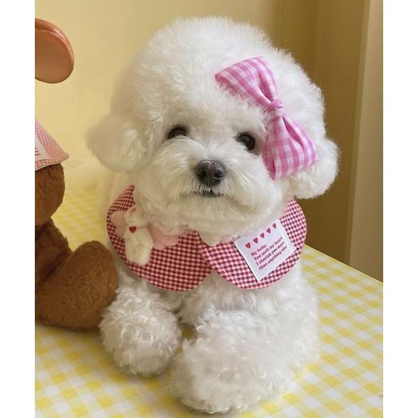 『タイムセール実施中』※このアイテムは返品・交換対象外商品です。ZOZO問い合わせ番号:95380997ショップ:aimoha，アイモハブランド:aimoha，アイモハ商品名:ペット用スタイカテゴリ:ペットグッズ>ペットウェアブランド...
