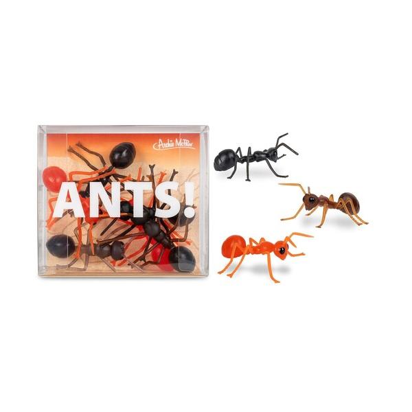 ※このアイテムは返品・交換対象外商品です。ZOZO問い合わせ番号:95610677ショップ:BEAMS MEN，ビームス メンブランド:bpr BEAMS，ビーピーアール ビームス 商品名:Archie McPhee / Ants!カテゴリ...