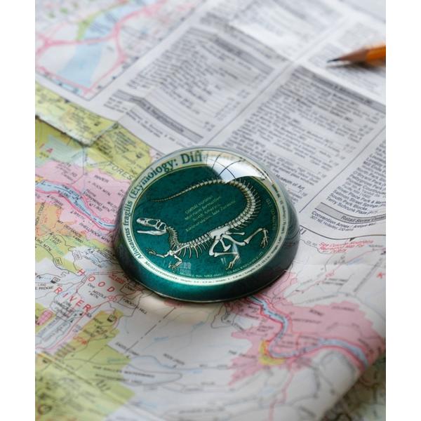 ZOZO問い合わせ番号:96303065ショップ:DULTON，ダルトンブランド:DULTON，ダルトン商品名:GLASS PAPERWEIGHT GLOW ALLOSAURUS/ガラス ペーパーウェイトカテゴリ:雑貨/ホビー>ステー...