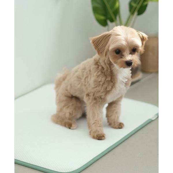 ※このアイテムは返品・交換対象外商品です。ZOZO問い合わせ番号:96762750ショップ:good times +，グッドタイムズプラスブランド:ohnola，オノラ，PET'S CLOSET 〜Dog＆Cat〜，ペットクローゼット商品名...