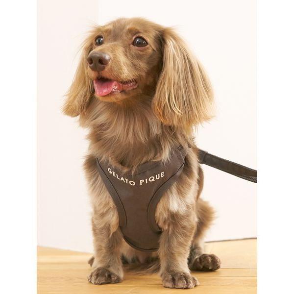 ※このアイテムは返品・交換対象外商品です。ZOZO問い合わせ番号:97255354ショップ:gelato pique，ジェラート　ピケブランド:gelato pique，ジェラートピケ商品名:【CAT＆DOG】背中あきハーネスカテゴリ:ペッ...