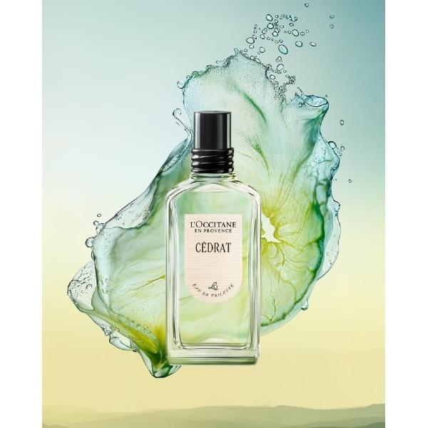 ※このアイテムは返品・交換対象外商品です。ZOZO問い合わせ番号:97423256ショップ:L'OCCITANE，ロクシタンブランド:L'OCCITANE，ロクシタン商品名:セドラ オードトワレ 50mLカテゴリ:フレグランス>香水ブ...