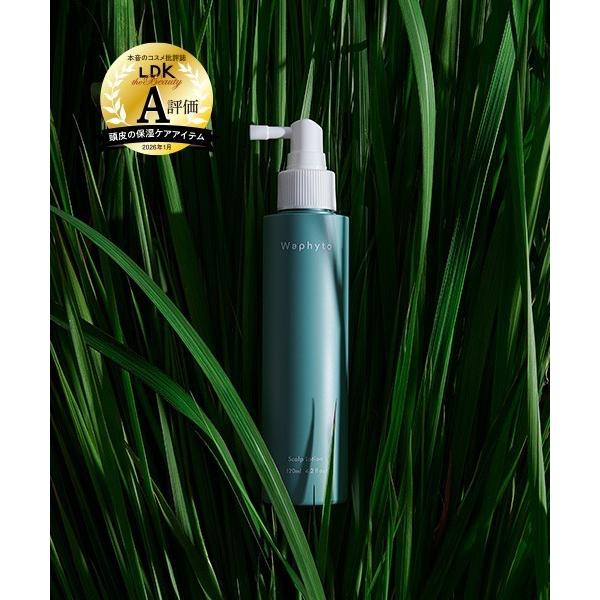 ※このアイテムは返品・交換対象外商品です。コスメ商品ZOZO問い合わせ番号:97490377ショップ:Waphyto，ワフィトブランド:Waphyto，ワフィト商品名:スキャルプローション　120mLカテゴリ:ボディ・ヘアケア>その他...