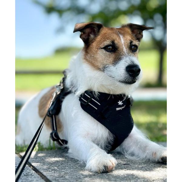 ※このアイテムは返品・交換対象外商品です。ZOZO問い合わせ番号:97598883ショップ:Snow Peak，スノーピークブランド:Snow Peak，スノーピーク商品名:Snow Peak / Dog Harness ハーネス 犬服 ド...