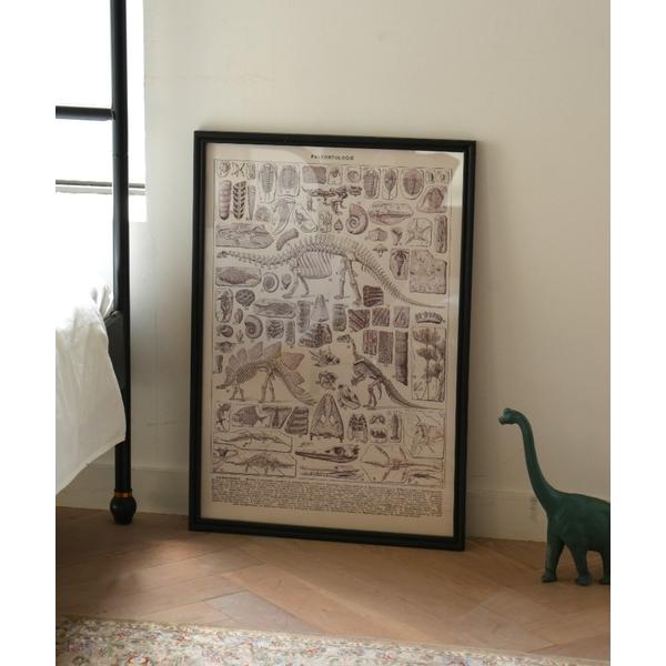 ZOZO問い合わせ番号:97634564ショップ:DULTON，ダルトンブランド:DULTON，ダルトン商品名:ART FRAME PALEONTOLOGIE/壁掛け アート フレーム パレオントロジーカテゴリ:インテリア>ポスター/...
