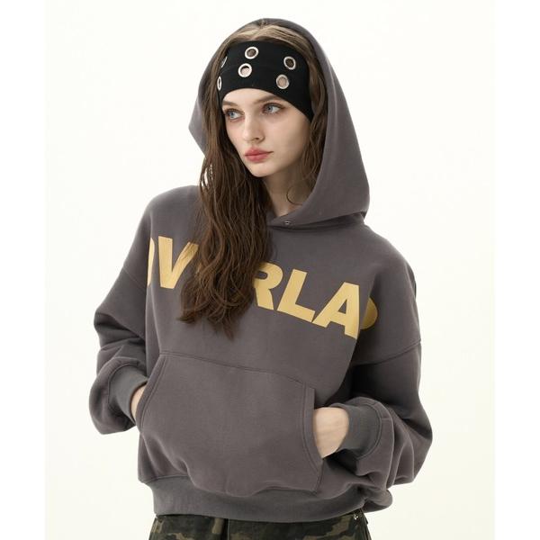 ZOZO問い合わせ番号:98506900ショップ:IF Div.，アイエフディビジョンブランド:BENUA，ベヌア商品名:Fleece-lined logo hoodie/裏起毛ロゴトレーナーカテゴリ:トップス>パーカーブランド品番:...