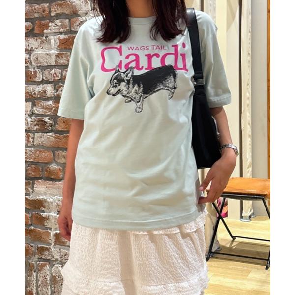 『セール実施中』参考価格：3，300円発売時期：2024年04月コンディション：A（使用感なし）数回使用した程度で使用感が感じられないアイテム参考商品名：WAGS TAIL PARK Tシャツ参考品番：420HSI90-1621【商品に関す...