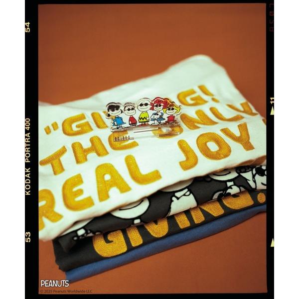 ZOZO問い合わせ番号:98946114ショップ:AVIREX WOMAN，アヴィレックス ウーマンブランド:PEANUTS，ピーナッツ，AVIREX，アヴィレックス商品名:《AVIREX × PEANUTS》ACRYLIC STANDS ...