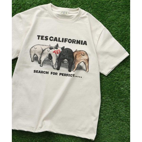 参考価格：7，700円発売時期：2024年04月コンディション：A（使用感なし）数回使用した程度で使用感が感じられないアイテム参考商品名：TES 4BUHI T-SHIRT / Tシャツ参考品番：24574362【商品に関する注意事項】・こ...