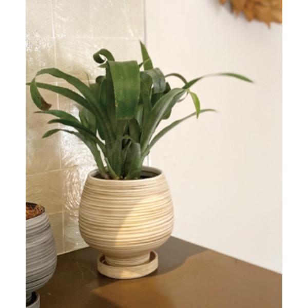 ZOZO問い合わせ番号:100934509ショップ:Million Carats，ミリオンカラッツブランド:MILLION CARATS，ミリオンカラッツ商品名:空間にやわらかな動きをつくる Swirlポット＆ソーサー。マット質感で植物が映...