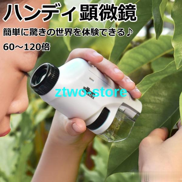 爆買顕微鏡 ハンディ顕微鏡 60〜120倍 小学生 自由研究 野外観察 趣味 LEDライト内蔵 けんびきょう コンパクト 観察