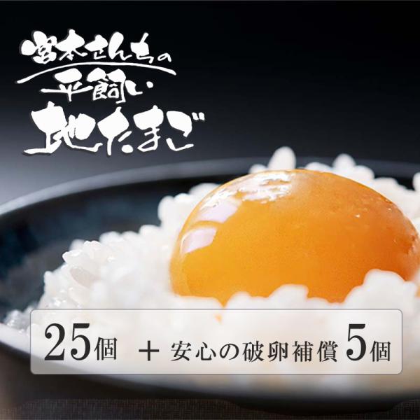 【商品説明】名称：鶏卵（個卵重MS52g以下〜LL76g未満）卵重計量責任者：宮本吉晴採卵者：鶏園みやもと（兵庫県小野市）【数量】25個+破卵補償5個【原産地】兵庫県【保存方法】お買い上げの後は、冷蔵庫（10度以下）で保存してください。【使...