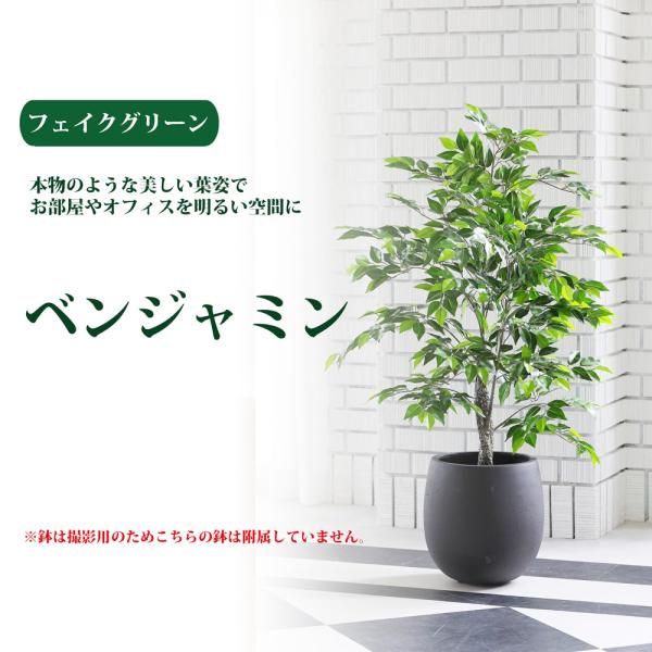 本物みたいな超リアルのフェイクグリーンでおすすめです。ずっと居たくなる空間、洗練された空間、型にはまらない空間、空間をより印象的に、より上質に演出する人工観葉植物のご提案空間をより美しく彩る本物さながらの人工観葉植物お客様の空間をより美しく...