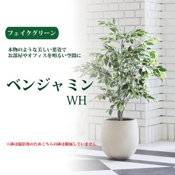 本物みたいな超リアルのフェイクグリーンでおすすめです。ずっと居たくなる空間、洗練された空間、型にはまらない空間、空間をより印象的に、より上質に演出する人工観葉植物のご提案空間をより美しく彩る本物さながらの人工観葉植物お客様の空間をより美しく...