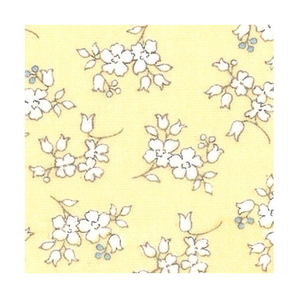 ■30ｃｍ〜（10ｃｍ単位）ご注文頂けます。【お断り】ご注文のタイミングによっては、お品切れの場合もございます。また、商品取り寄せ等の理由により、発送が遅れる場合もございますので、ご了承下さい。その場合はこちらからご連絡いたします。（お急ぎ...