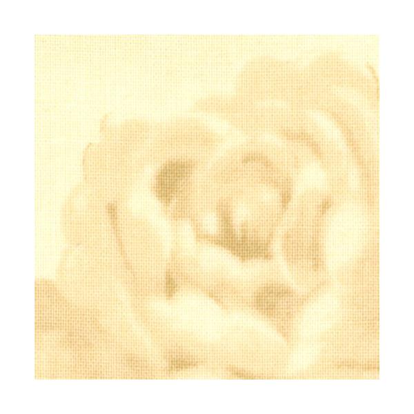 ■30ｃｍ〜（10ｃｍ単位）ご注文頂けます。【お断り】ご注文のタイミングによっては、お品切れの場合もございます。また、商品取り寄せ等の理由により、発送が遅れる場合もございますので、ご了承下さい。その場合はこちらからご連絡いたします。（お急ぎ...