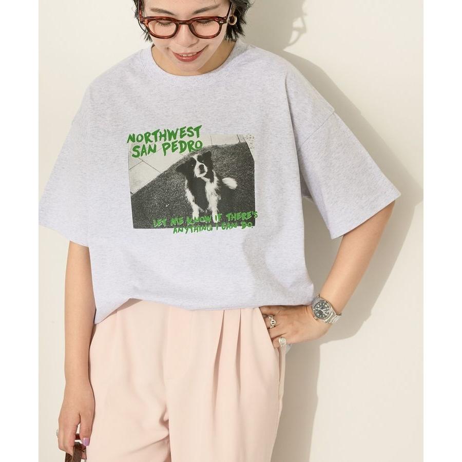 AMERICAN HOLIC DogフォトプリントTシャツ : マルイ(丸井)Yahoo!店 - 通販 - Yahoo!ショッピング