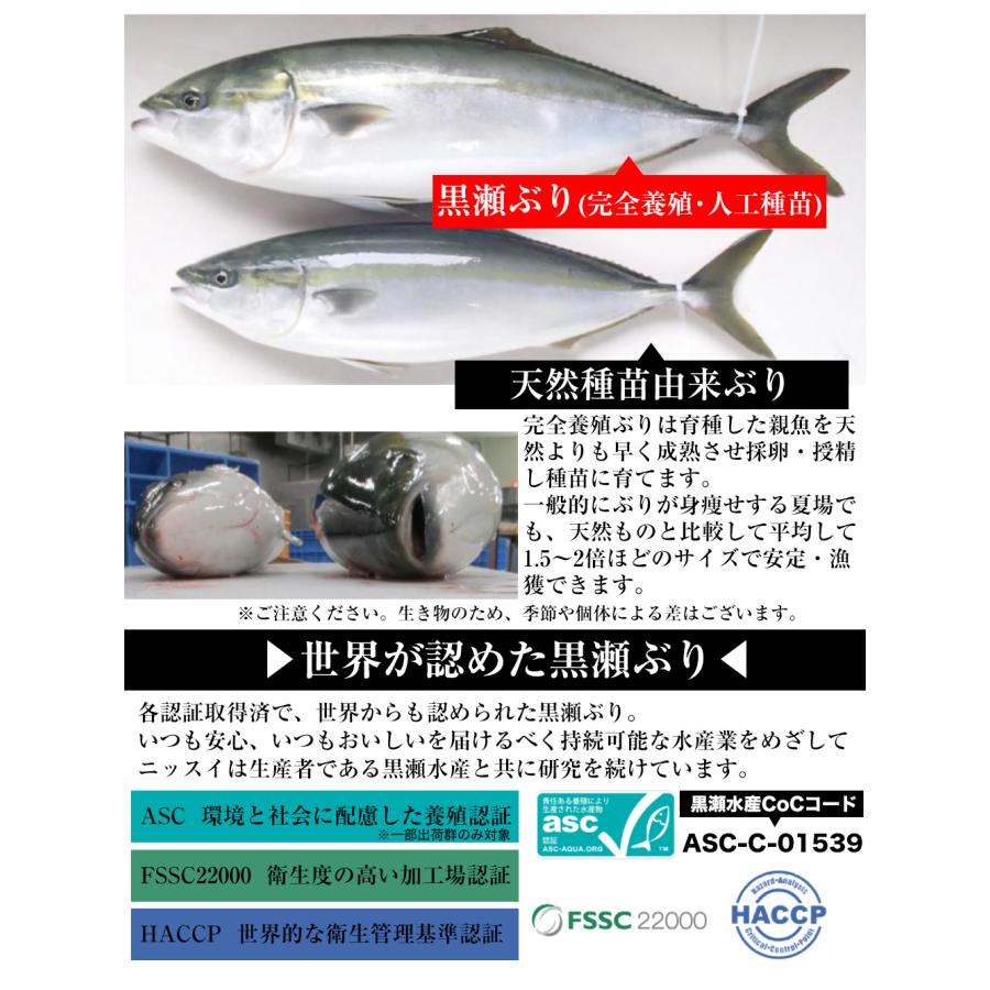活〆黒瀬ぶり ロイン スキンレス 2本入り 1kg前後 刺身 ブリ 海鮮 魚 鮮魚 海鮮丼 ぶり 鰤 養殖 刺身用 ギフト 刺し身 ...
