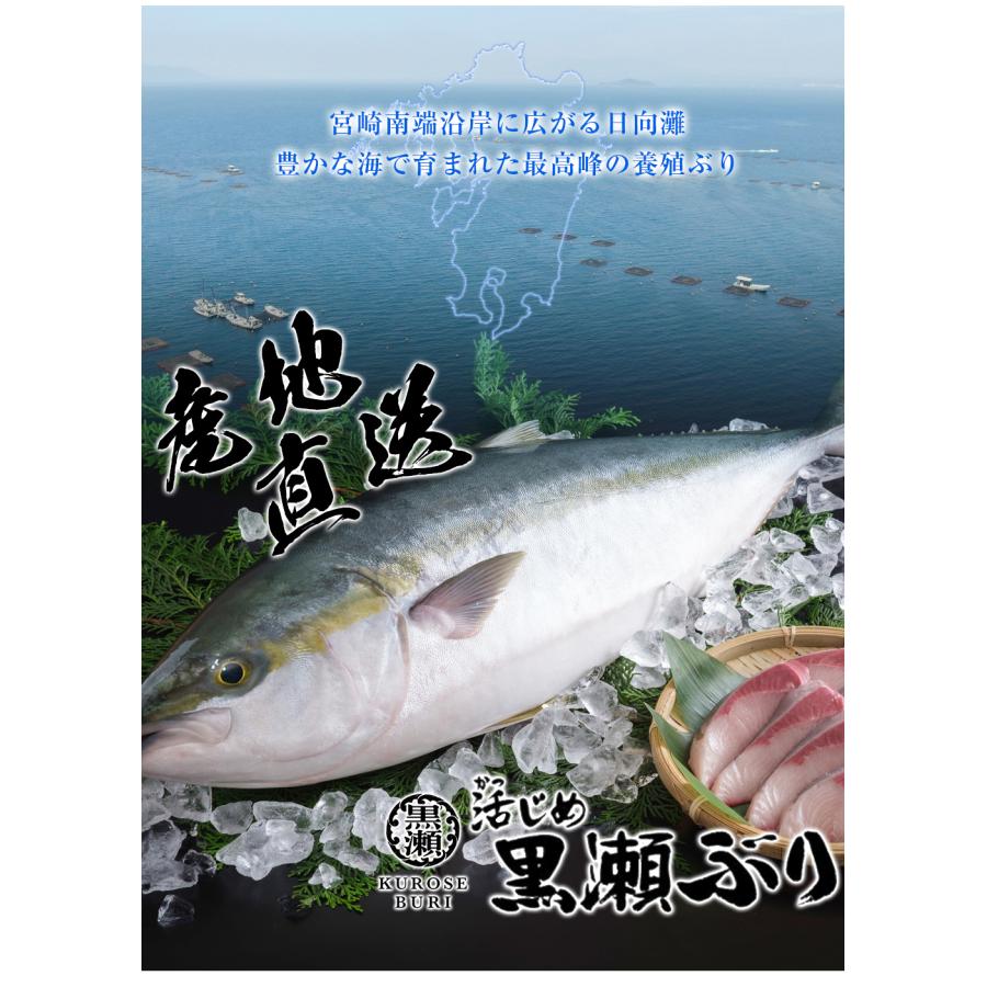 活〆黒瀬ぶり ロイン スキンレス 2本入り 1kg前後 刺身 ブリ 海鮮 魚 鮮魚 海鮮丼 ぶり 鰤 養殖 刺身用 ギフト 刺し身 ...