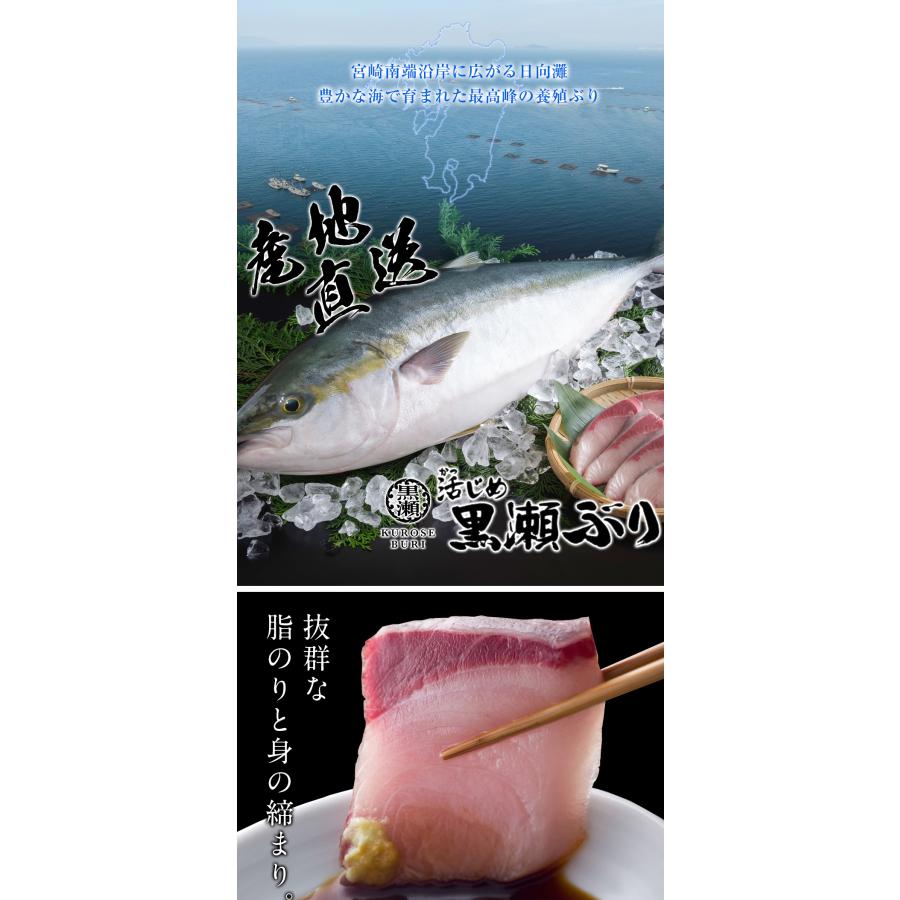 活〆黒瀬ぶり ロイン スキンレス 2本入り 1kg前後 刺身 ブリ 海鮮 魚 鮮魚 海鮮丼 ぶり 鰤 養殖 刺身用 ギフト 刺し身 ...