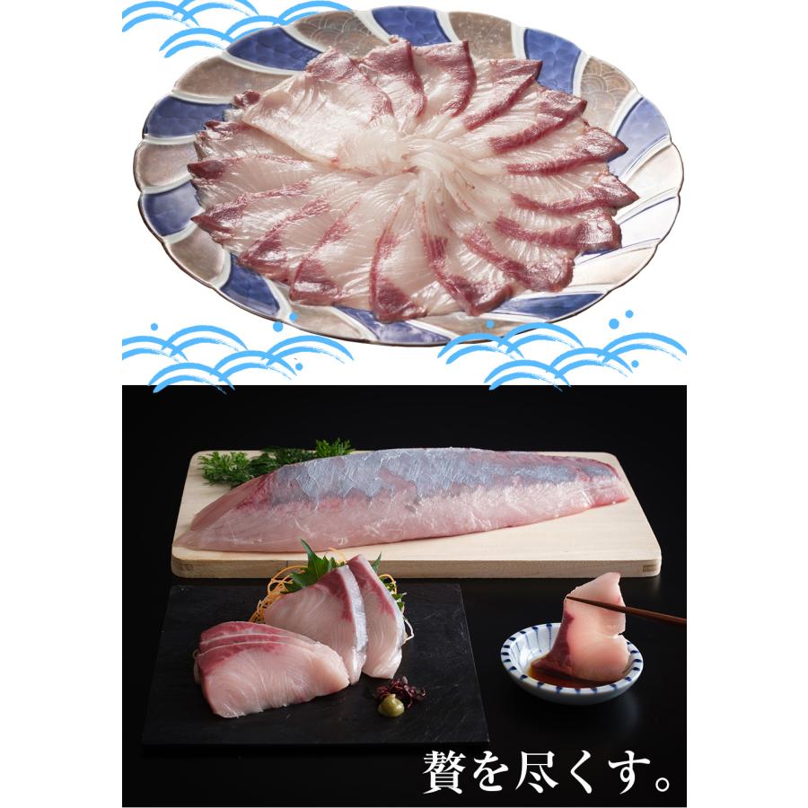 活〆黒瀬ぶり ロイン スキンレス 2本入り 1kg前後 刺身 ブリ 海鮮 魚 鮮魚 海鮮丼 ぶり 鰤 養殖 刺身用 ギフト 刺し身 ...