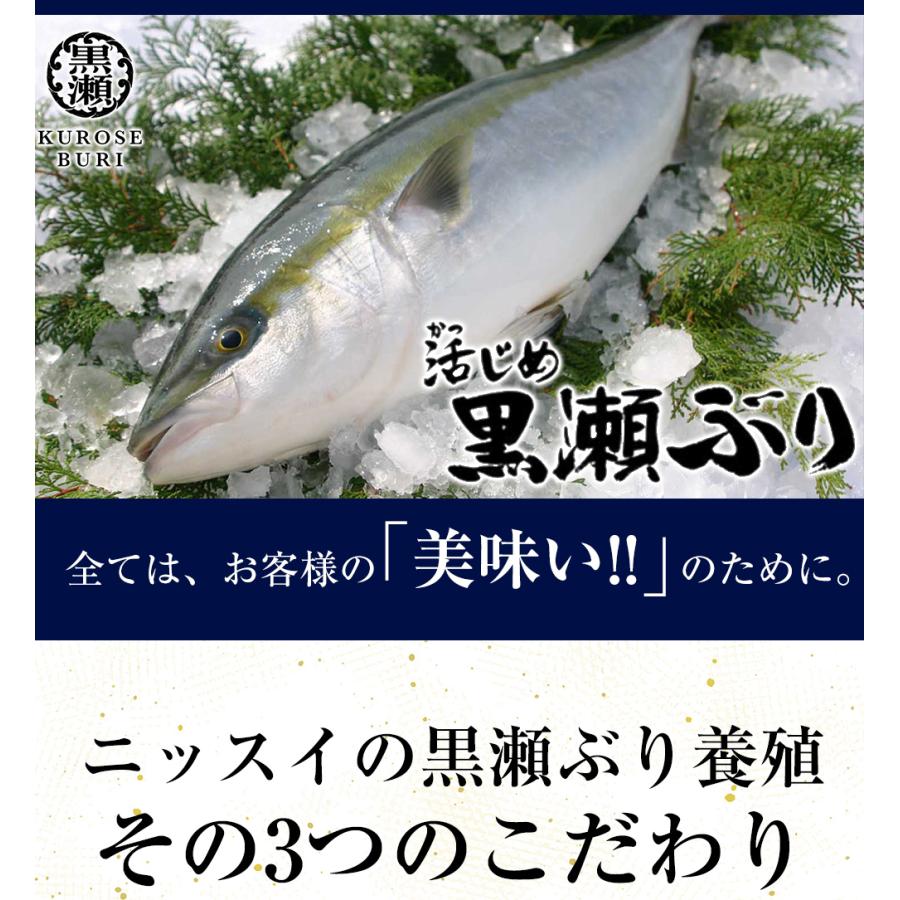 活〆黒瀬ぶり ロイン スキンレス 2本入り 1kg前後 刺身 ブリ 海鮮 魚 鮮魚 海鮮丼 ぶり 鰤 養殖 刺身用 ギフト 刺し身 ...