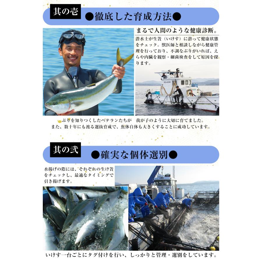 活〆黒瀬ぶり ロイン スキンレス 2本入り 1kg前後 刺身 ブリ 海鮮 魚 鮮魚 海鮮丼 ぶり 鰤 養殖 刺身用 ギフト 刺し身 ...