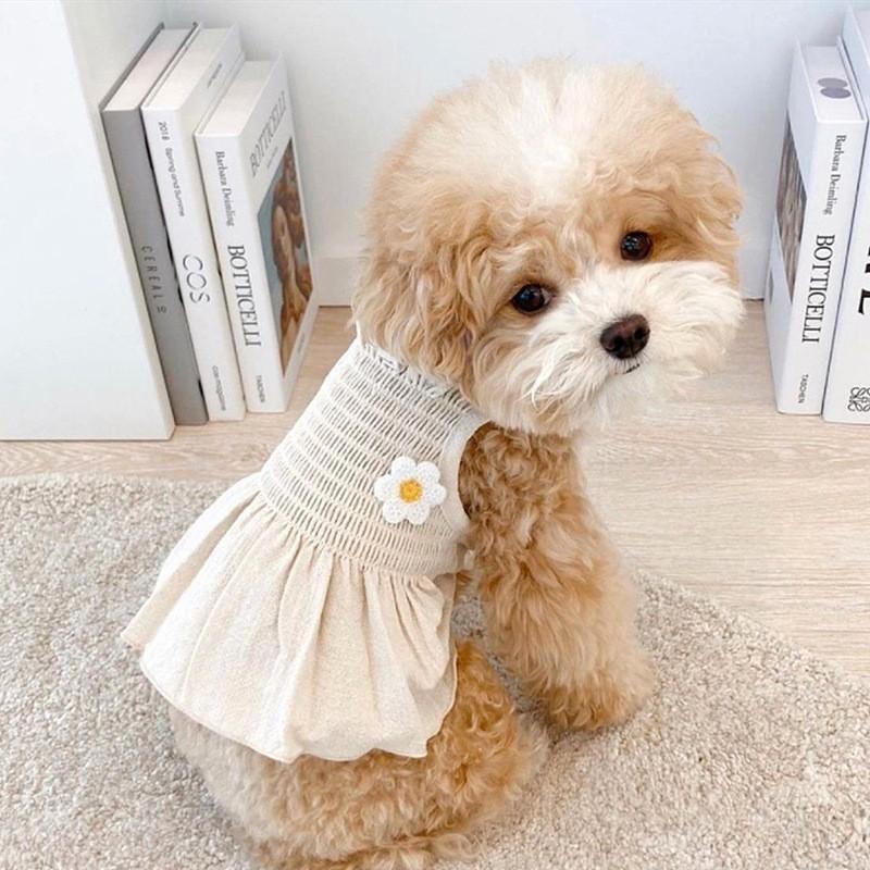 春夏 犬服 ペットドックウエアー 可愛い 花ワンポイント ワンピース おしゃれ : Dogaccessoriesノーチェ - 通販 - Yahoo!ショッピング