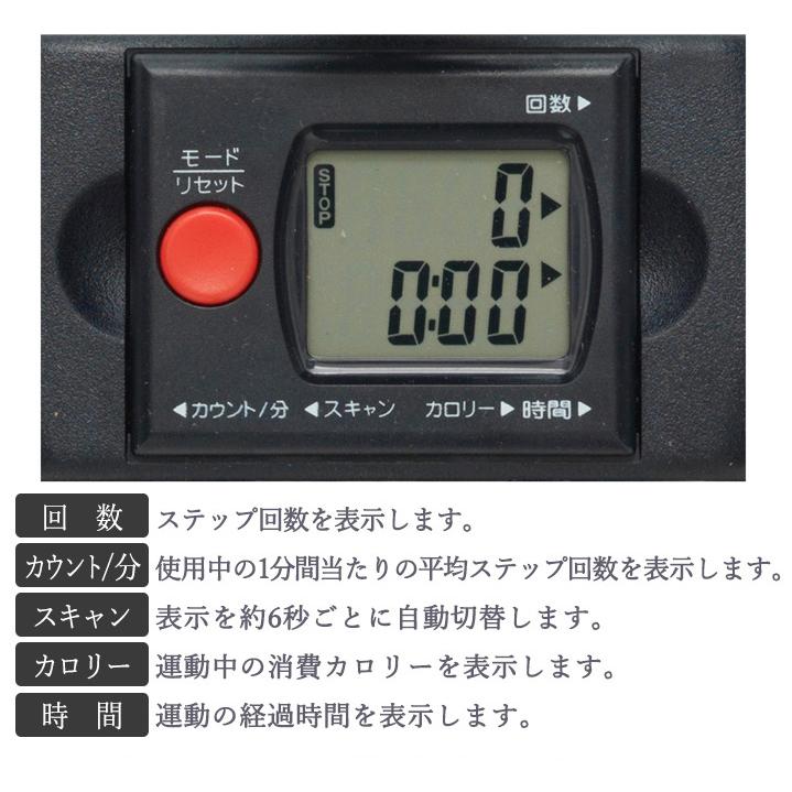 東急スポーツオアシス ツイストエアロステッパーSP-200 30日間 東急スポーツオアシス ツイストエアロステッパーSP-200 30日間