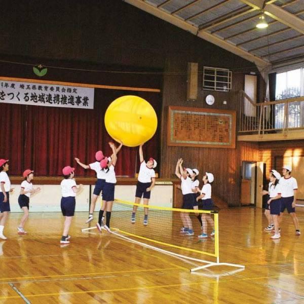 TOEI LIGHT（トーエイライト） ジャンボゲームボール120 B2886