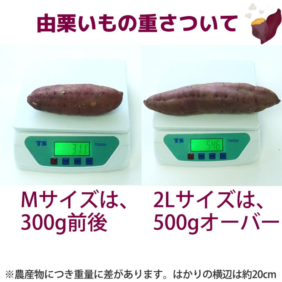由栗いも（ ゆっくりいも ） 約5kg 2Lサイズ 北海道産 さつまいも 焼き芋 やきいも 紅あずま ベニアズマ 北海道 由仁町 栗山町 お取り寄せ 産直 野菜 芋 : 北海道美食生活 ...