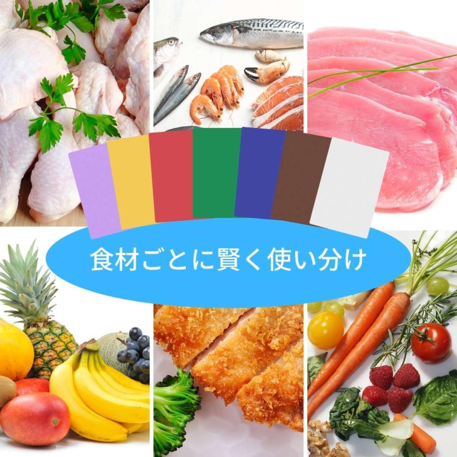 Thunder Group カラーまな板 45×29.8×1.2cm 大きい カッティングボード 食洗機対応 業務用 : 1956レストラン・サプライ - 通販 - Yahoo!ショッピング