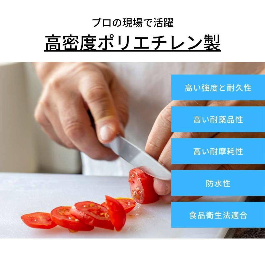 Thunder Group カラーまな板 45×29.8×1.2cm 大きい カッティングボード 食洗機対応 業務用 : 1956レストラン・サプライ - 通販 - Yahoo!ショッピング