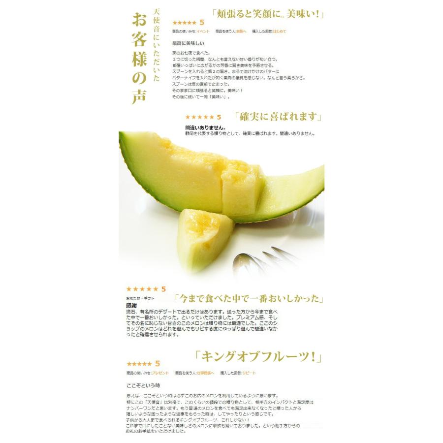 周年祭特別サイズ 完熟マスクメロン「天使音（あまね）マスクメロン」【グランべべ】 0.8〜0.9kg : ギフトフルーツShomeido Yahoo!店 - 通販 - Yahoo!ショッピング