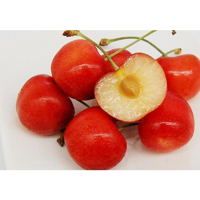 【お届日指定不可】国内最大級 山形県産 さくらんぼ「 紅王 」 3L〜4Lサイズ 約100g × 1パック べにおう 秀 国産 フルーツ 果物 旬 やまがた紅王 : ギフトフルーツ ...