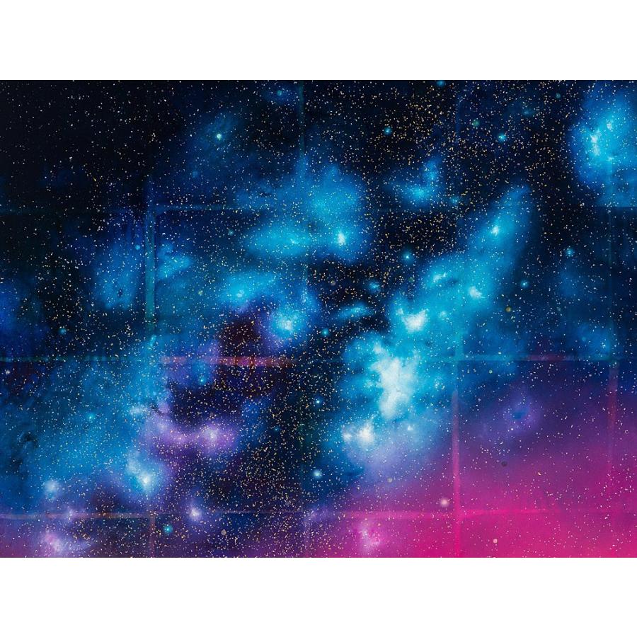 【1on1】真作 光元昭弘 『Star Diagram...Blank of Milky Way』 油彩 金銀箔 プラチナ箔 アルミ箔 15号 額装 : 1on1 gallery - 通販 ...