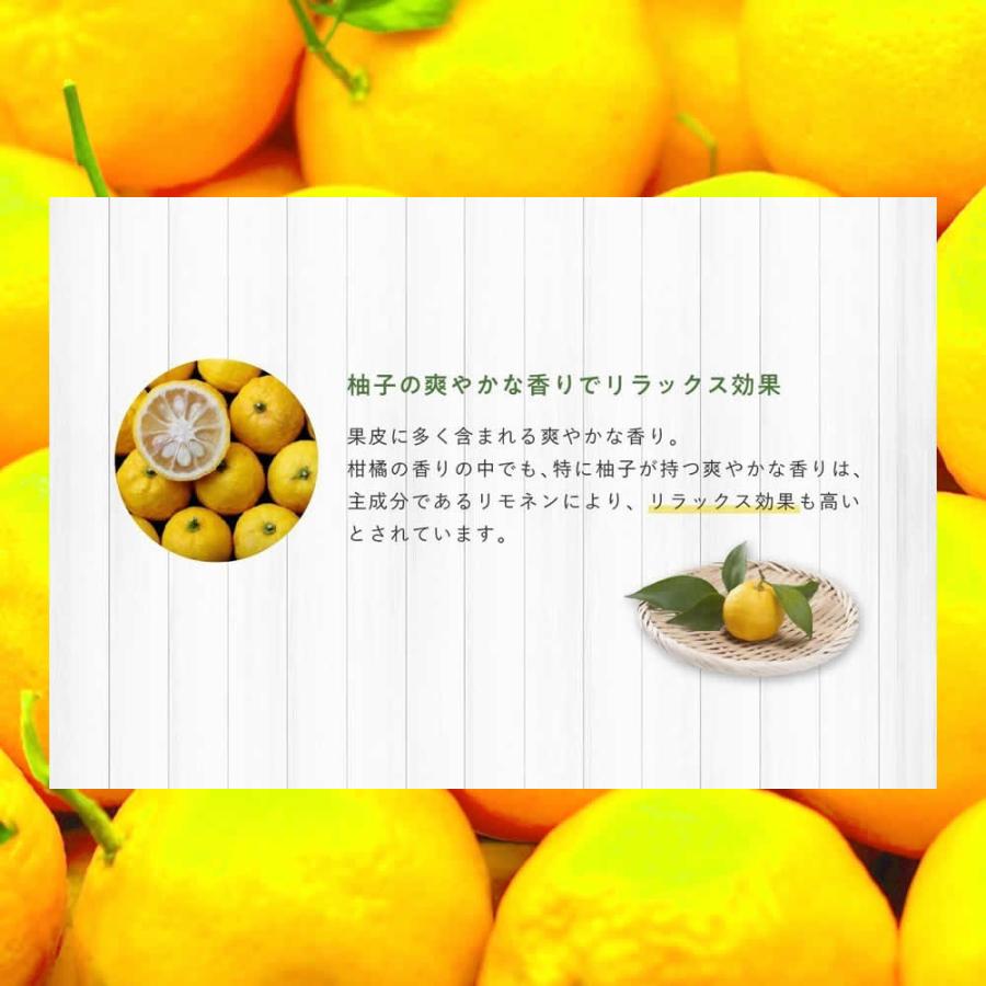 サベックス（Savex） 柚子スティック 日本限定 リップ 正規品 クリックポスト ポスト投函 : 239 - 通販 - Yahoo!ショッピング