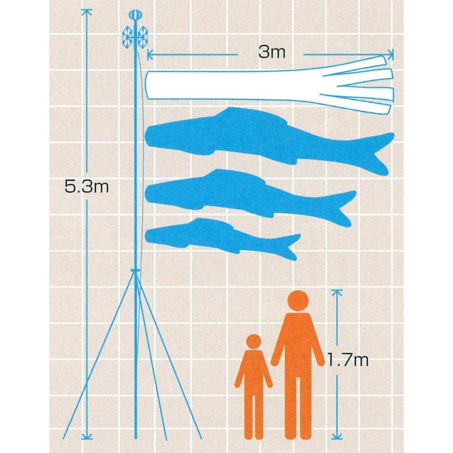 こいのぼり ワタナベ 鯉のぼり 庭園用 3m 杭打込 江戸 五色吹流し ポリエステル wtk-mheng30 : wtk-ed-3m-mh ...
