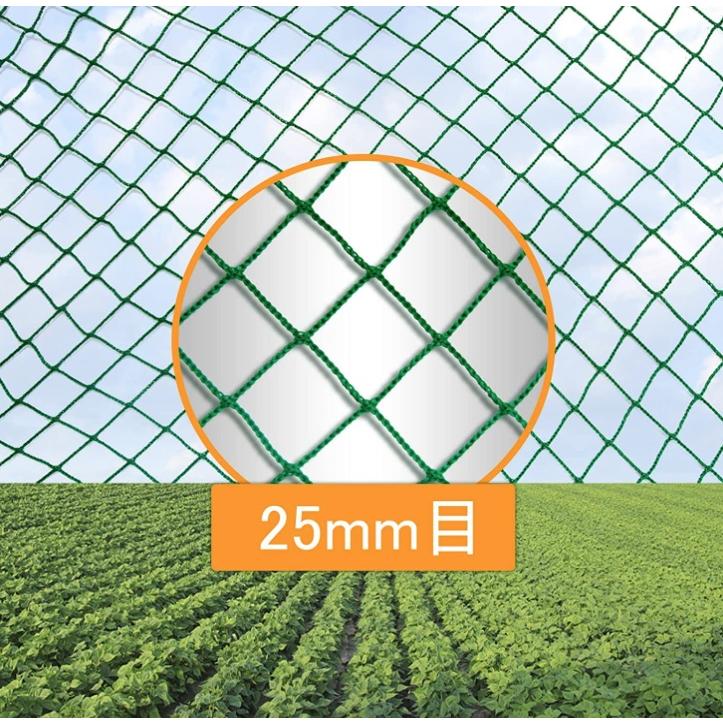 在庫 PE養生ネット 2x3m グリーン 網目25mm目 ポリエチレン 周囲6mmロープ 各コーナー1m出し 多目的PEグリーンネット ...